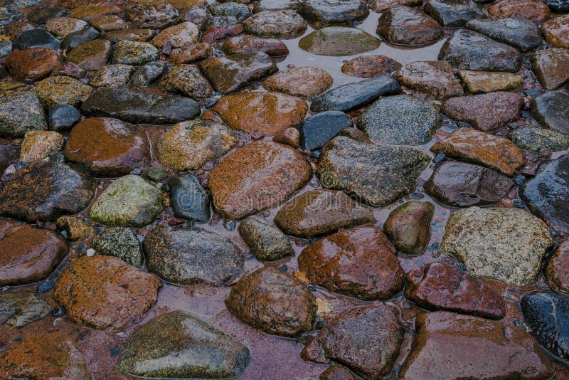 Pavement of a Large Wild Stone Stock Photo - Image of large, city ...