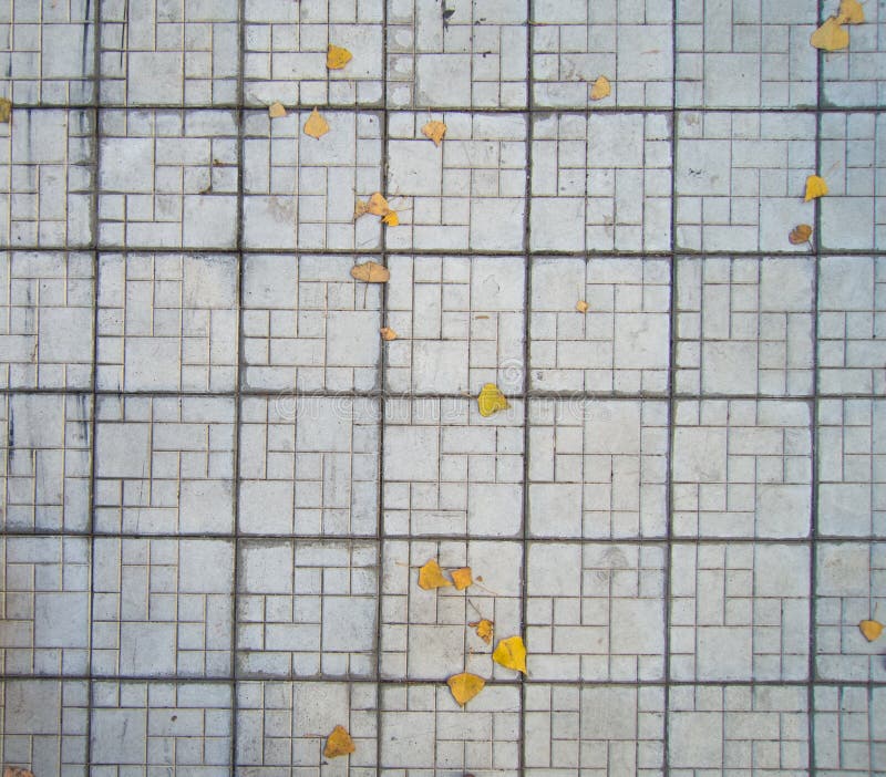 Pavement Made of Square Tiles with Rusted Leafs Stock Photo - Image of ...