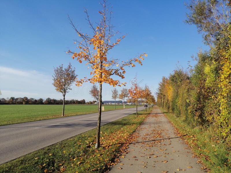 Pavement Next To a Road between Green Field and Trees with a Blue Sky ...