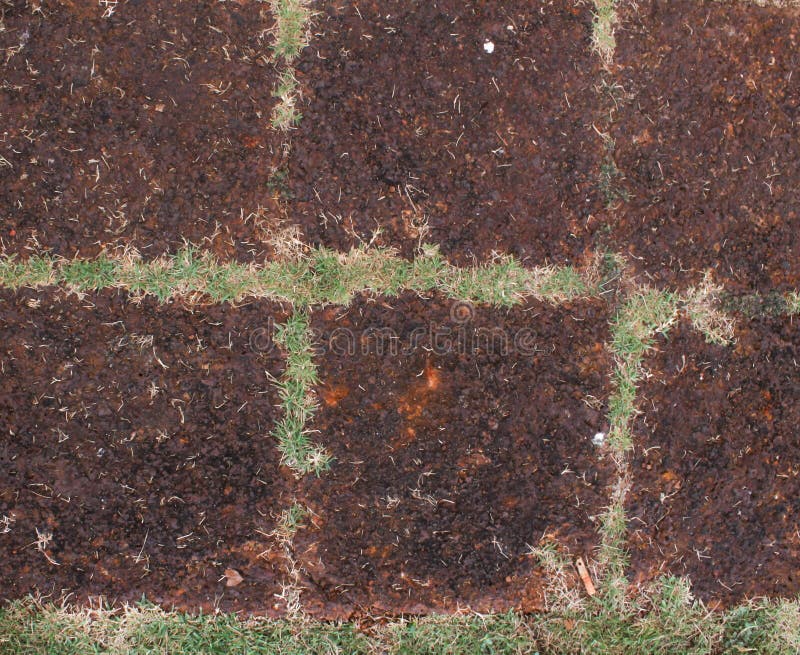 Pavement stock photo. Image of moss, land, perspective - 50342428