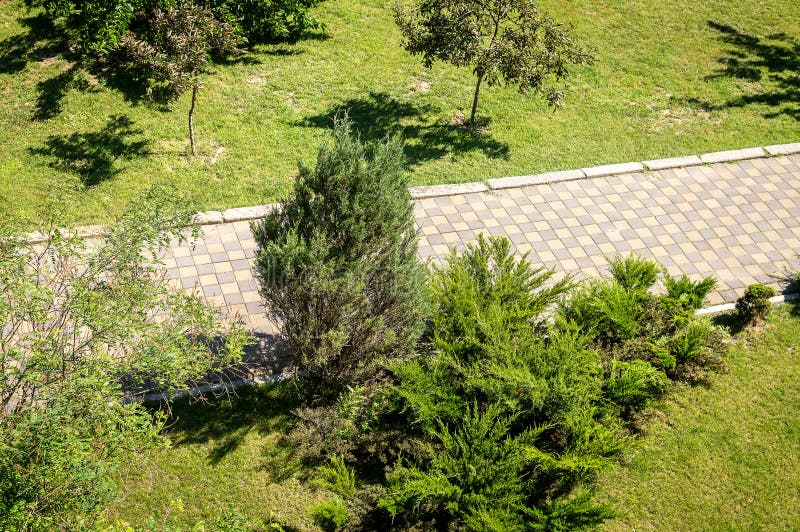 Pavement Path in the Park among Park Plants and Lawn, Angled Top View ...