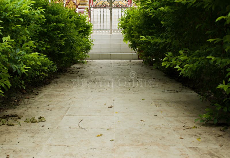PAVEMENT with PLANTS, STOCK PHOTO Stock Photo - Image of park, messy ...