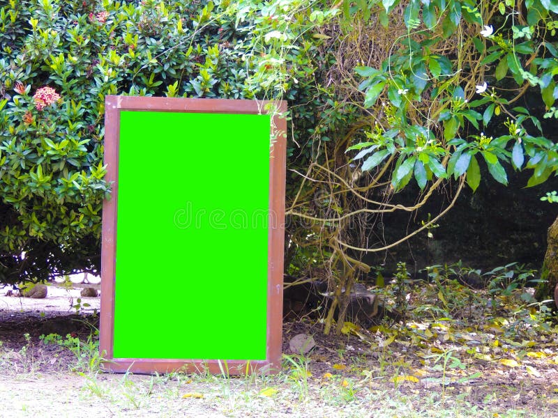 Pavement Sign with Green Slate on the Background of Trees Stock Image ...