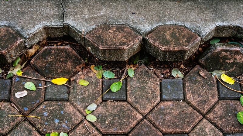 Pavement Surface is Damaged and Dangerous. Broken Brick Blocks Can Pose ...