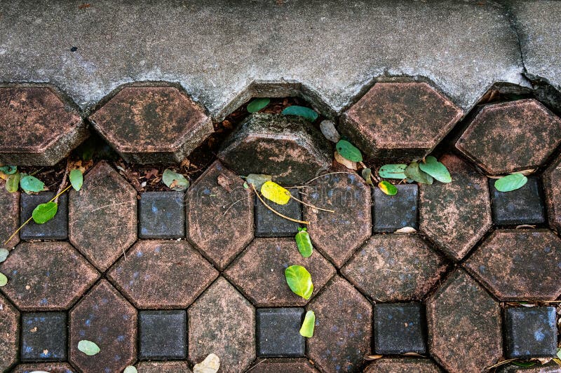 Pavement Surface is Damaged and Dangerous. Broken Brick Blocks Can Pose ...