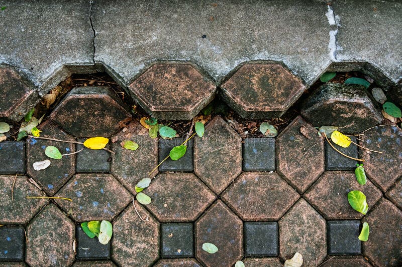 Pavement Surface is Damaged and Dangerous. Broken Brick Blocks Can Pose ...
