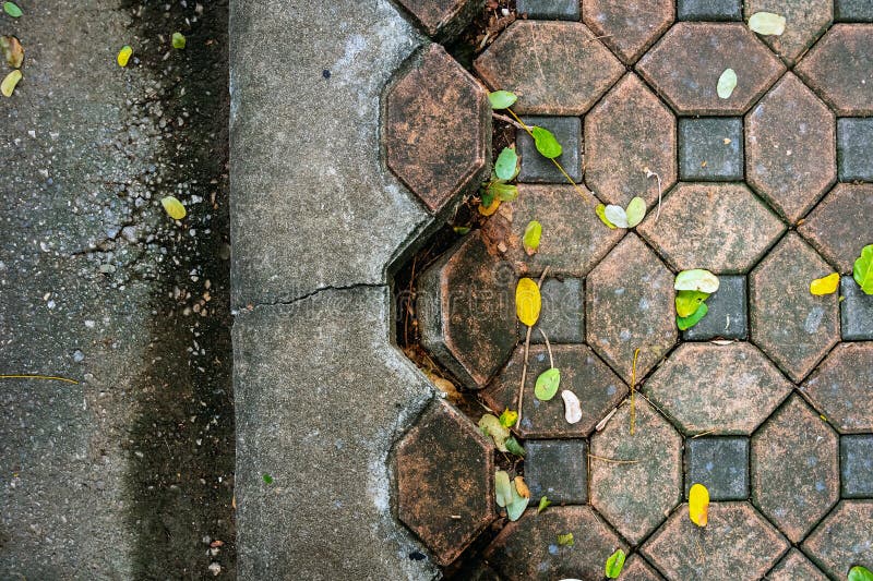 Pavement Surface is Damaged and Dangerous. Broken Brick Blocks Can Pose ...
