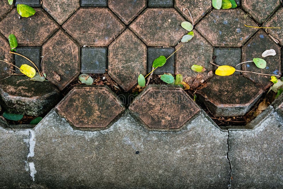 Pavement Surface is Damaged and Dangerous. Broken Brick Blocks Can Pose ...