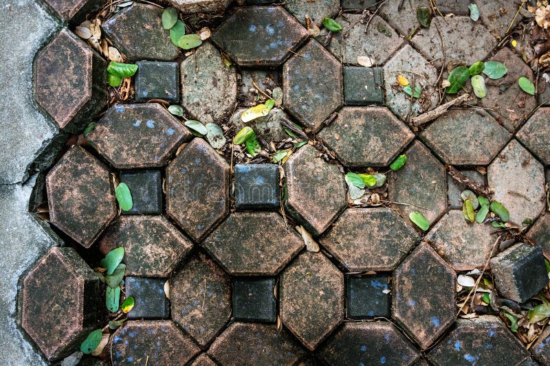 Pavement Surface is Damaged and Dangerous. Broken Brick Blocks Can Pose ...