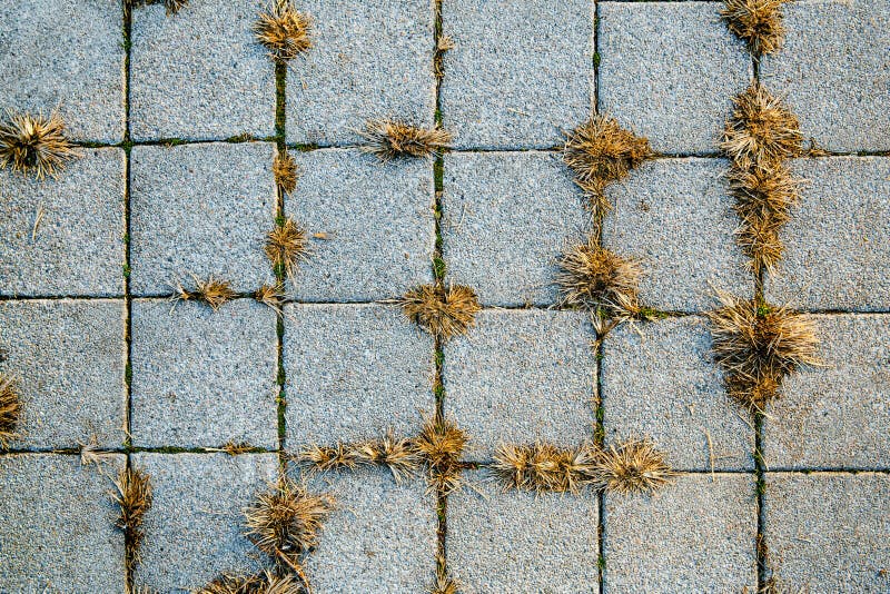 Pavement Texture. Grey. Tile. Background. Square. Pattern Stock Image ...