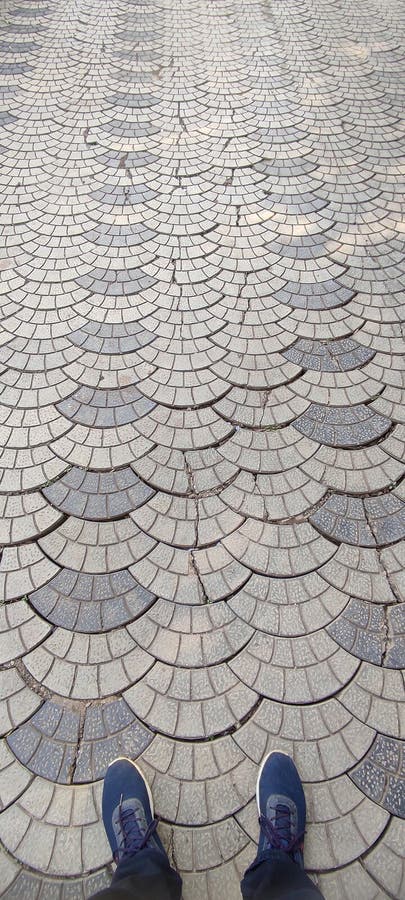 Pavement tiles pattern stock image. Image of cobblestone - 258101295