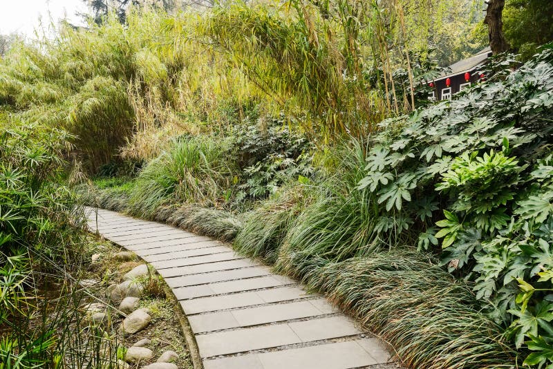 Pavement in Verdant Plants of Sunny Spring Stock Photo - Image of path ...