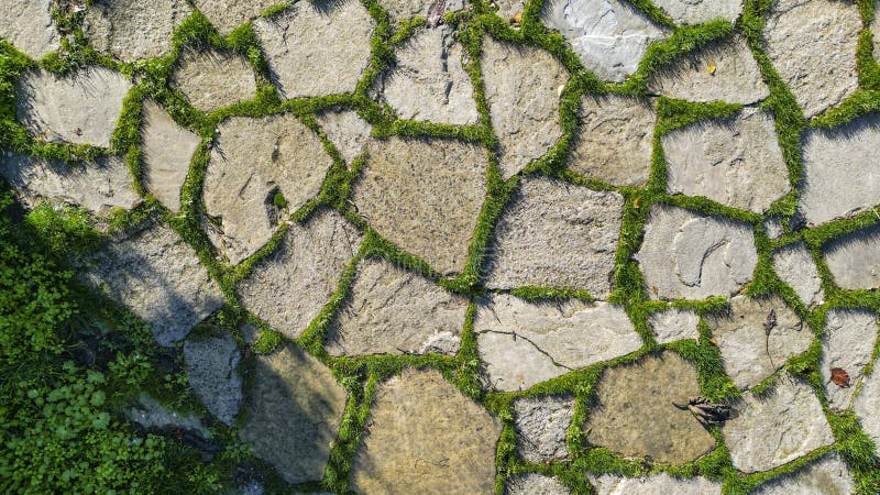 Pavement, Walking Path and Lawns Paved with Large Stones Stock Photo ...