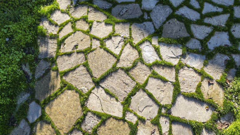 Pavement, Walking Path and Lawns Paved with Large Stones Stock Image ...