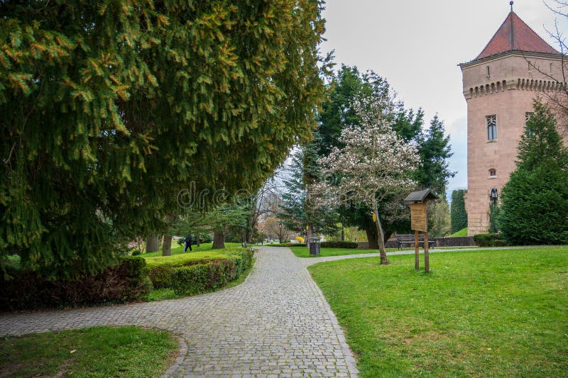 Pavement Walkway in Park with Trees Stock Photo - Image of architecture ...