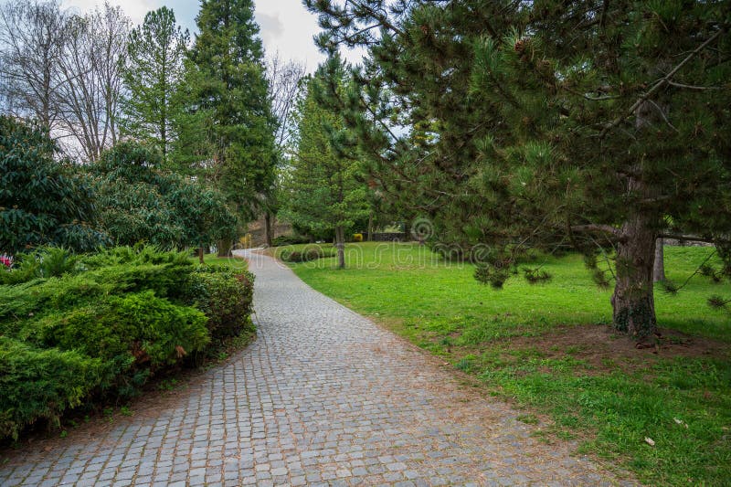 Pavement Walkway in Park with Trees Stock Image - Image of park, path ...