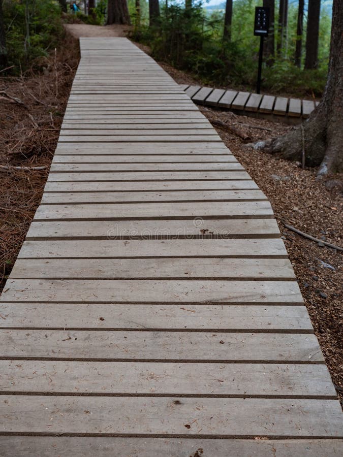Pavement Wooden Boards in Forest Stock Image - Image of pavement, lawn ...