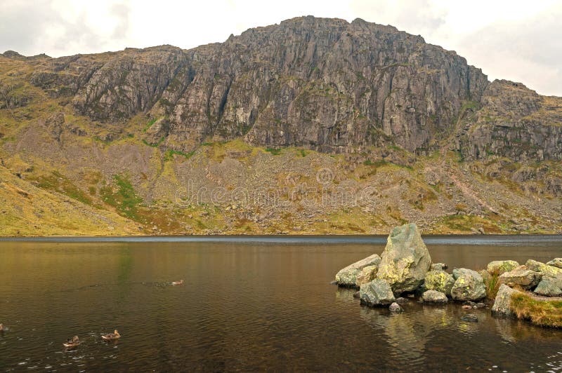 Pavey Ark, Jacks Rake,Stickle Tarn Stock Image - Image of barren ...