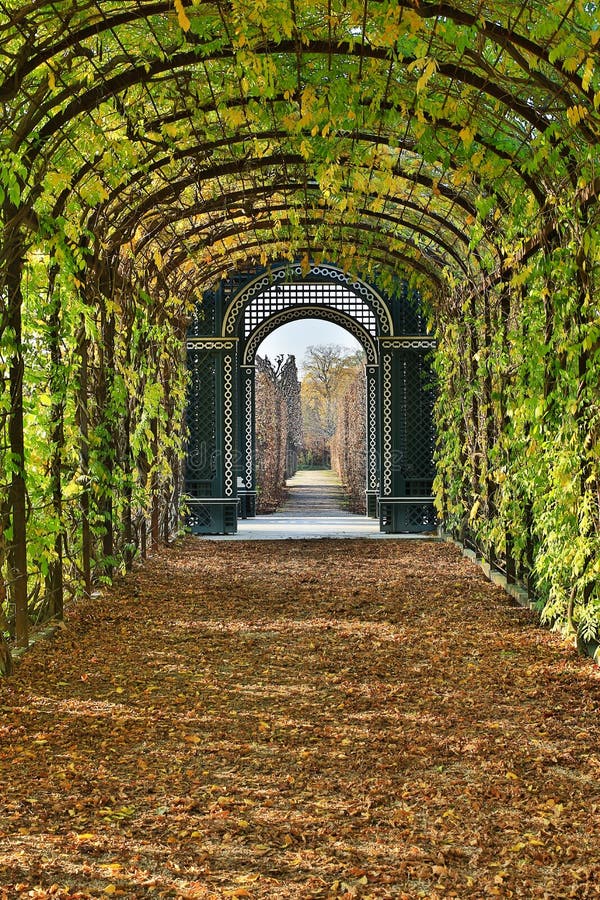 Pavilion stock image. Image of plant, architecture, creeper - 35157651
