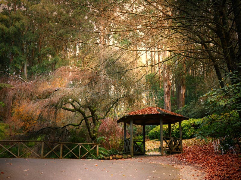 Pavilion in the Autumn stock image. Image of autumn - 185198157