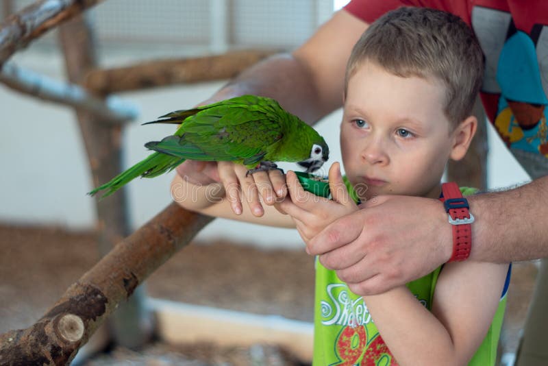 Exhibition of Carmen Parrots Polska Katowice 2018.07.21 Editorial ...