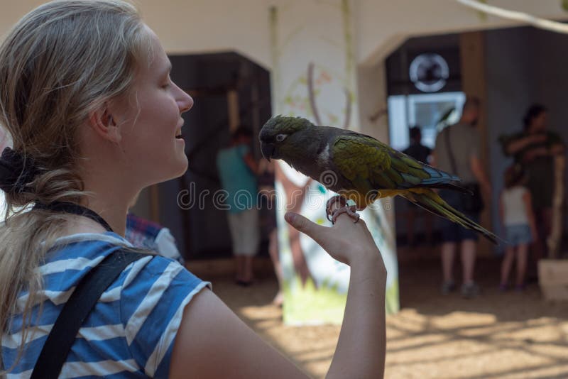 Exhibition of Carmen Parrots Polska Katowice 2018.07.21 Editorial Photo ...