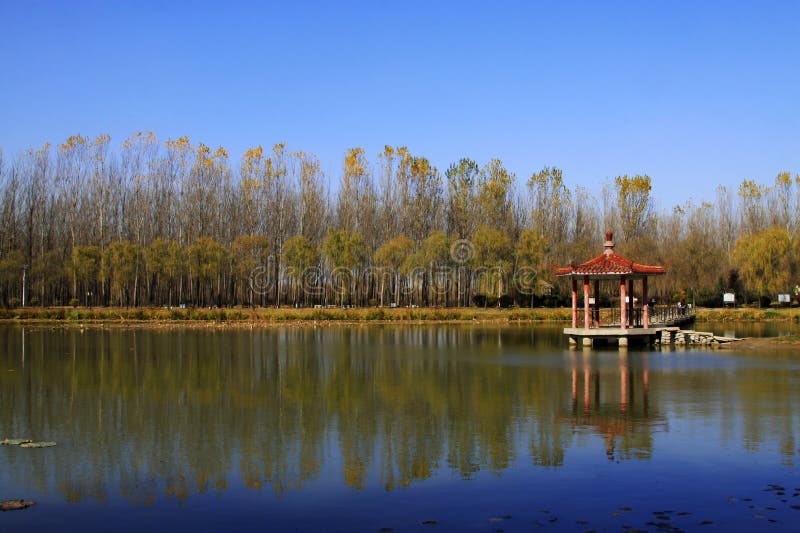 Pavilion and Path in a Park Stock Image - Image of blue, forest: 369078375