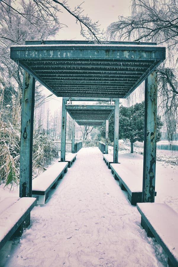 Pavillon and path stock image. Image of season, nature - 307023269