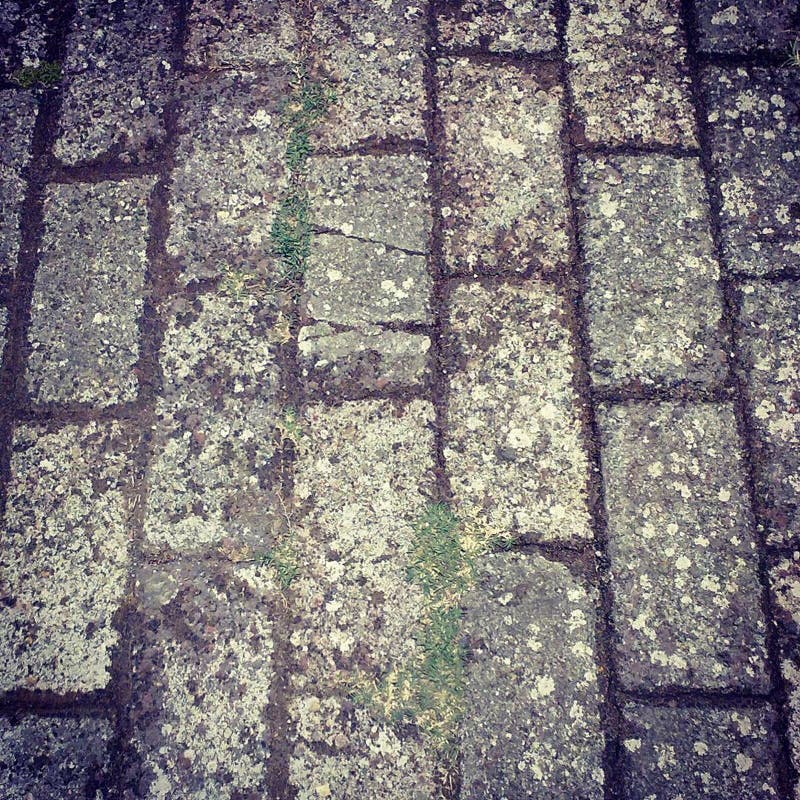 Pavimento Em Rocha E Rodovia Antiga Foto de Stock - Imagem de musgo ...