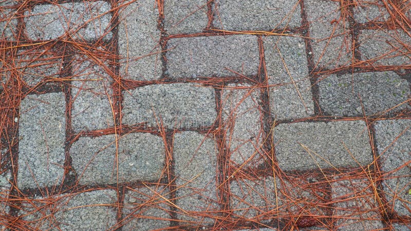 Paving Block Floor in the Background Stock Image - Image of paving ...