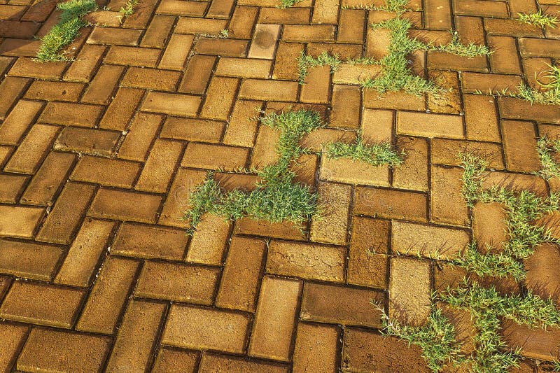 Paving Block Stone Sidewalk Texture, Pavement Background during Stock ...