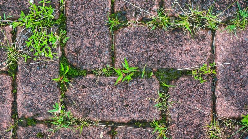 Paving Block Floor in the Background Stock Image - Image of paving ...