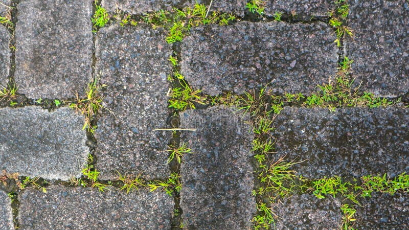 Paving Block Floor in the Background Stock Image - Image of paving ...