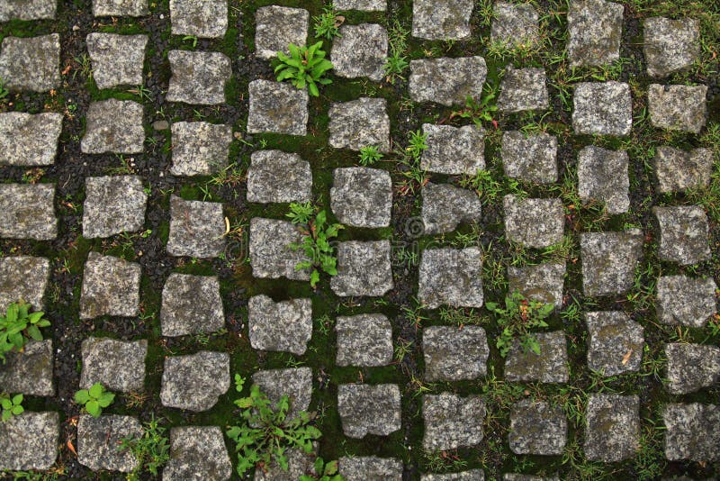 Paving Blocks Made of Old Stone. Stone Pavement Texture with the Grass ...