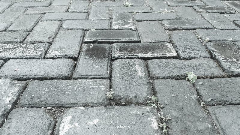 889 Rain Blocks Photos - Free & Royalty-Free Stock Photos from Dreamstime