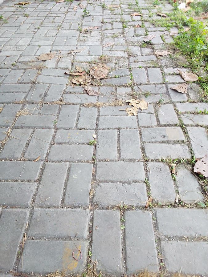 It is Paving Blocks for Walking Surfaces Stock Photo - Image of striped ...