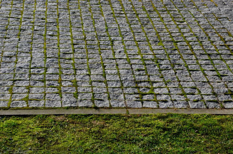 Paving grid stock photo. Image of diagonals, texture, greyscale - 2086404