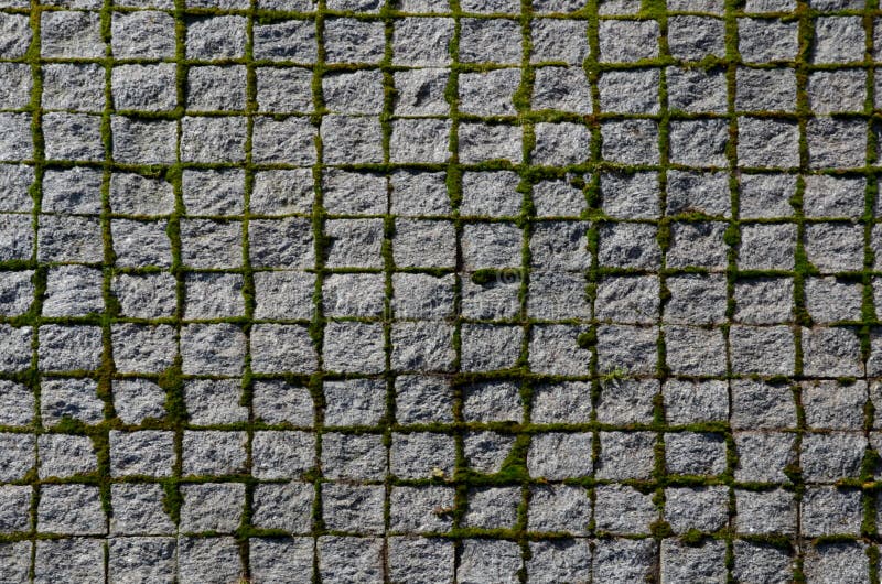 Paving grid stock photo. Image of diagonals, texture, greyscale - 2086404