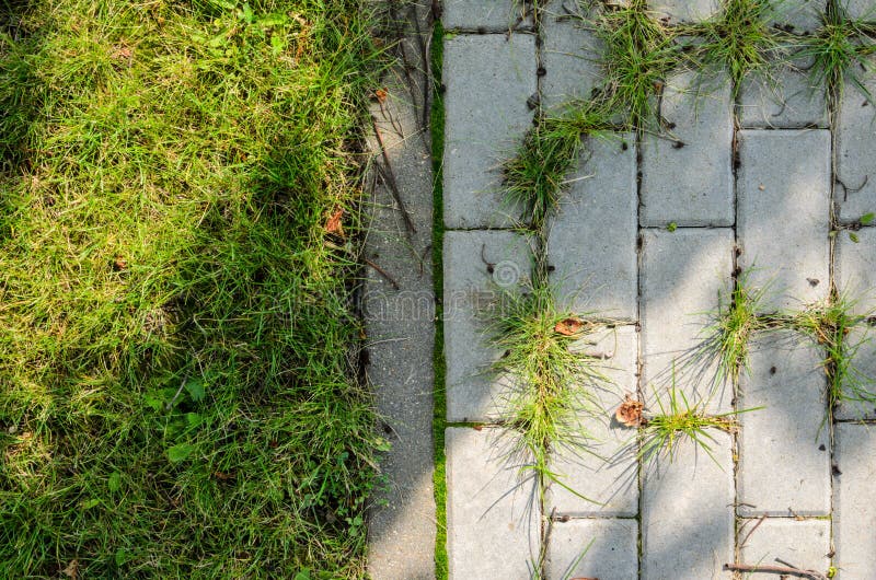 Paving Footpath with Grass stock photo. Image of path - 100949140