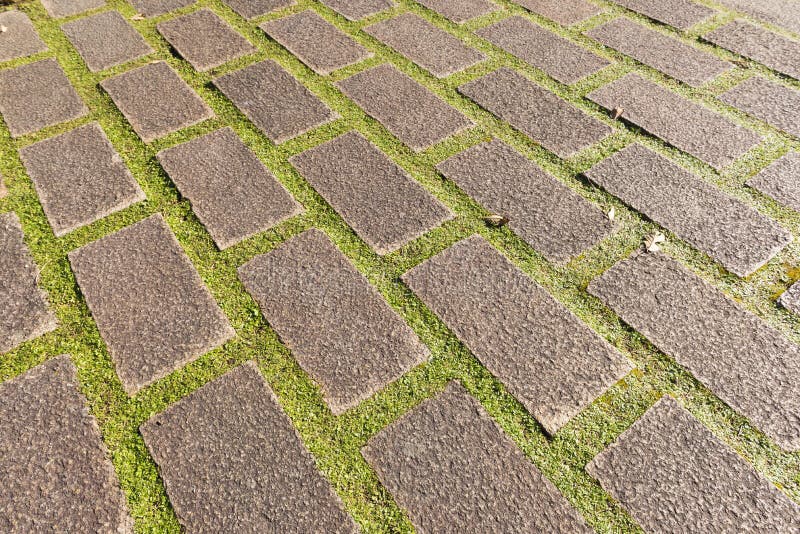 Moss on paving stock image. Image of backgrounds, rainfall - 22739489