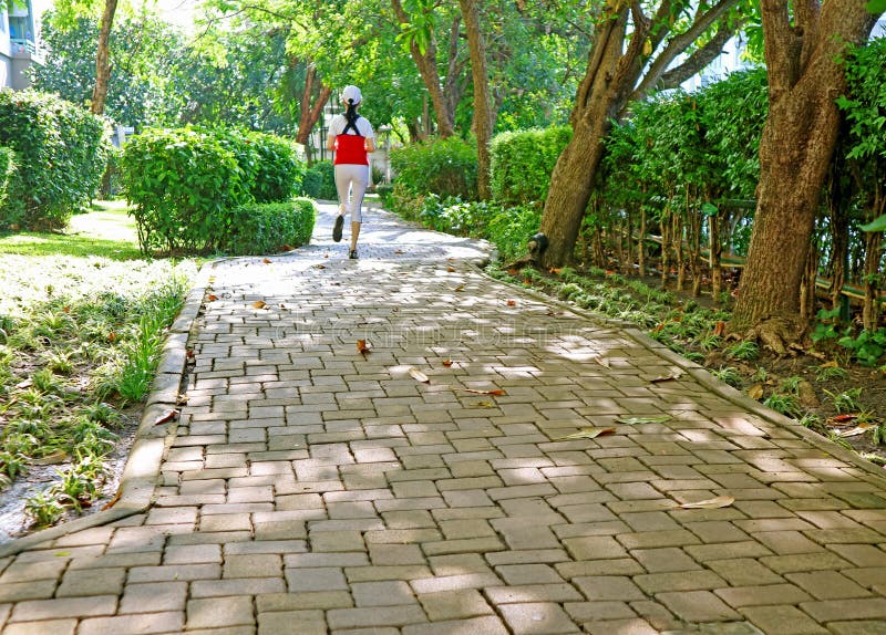 Paved Jogging Walkway In Park Stock Image - Image of jogging, lights ...