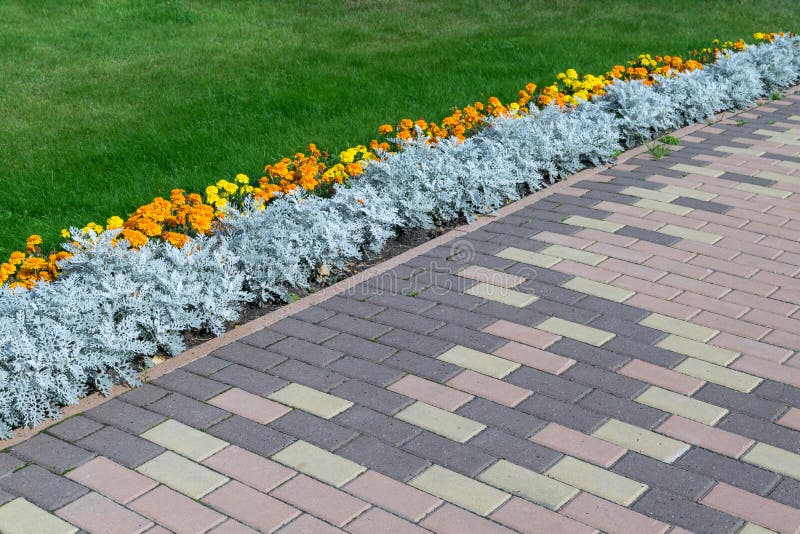 Brick Pavers Walkway And Lush Green Grass Stock Image - Image of line ...