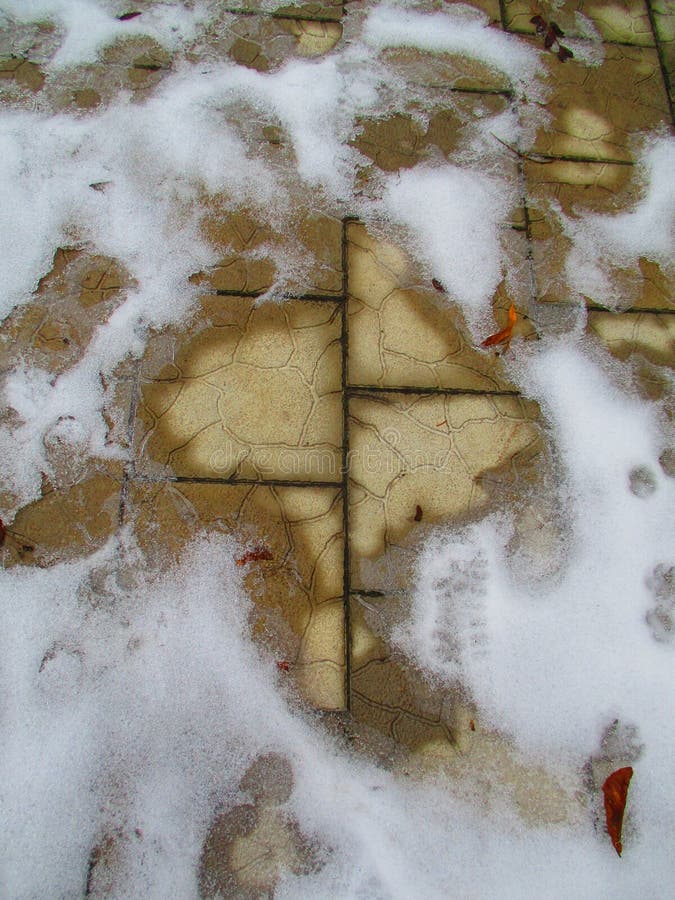 Paving Slab Covered with Melted Snow Stock Image - Image of early ...