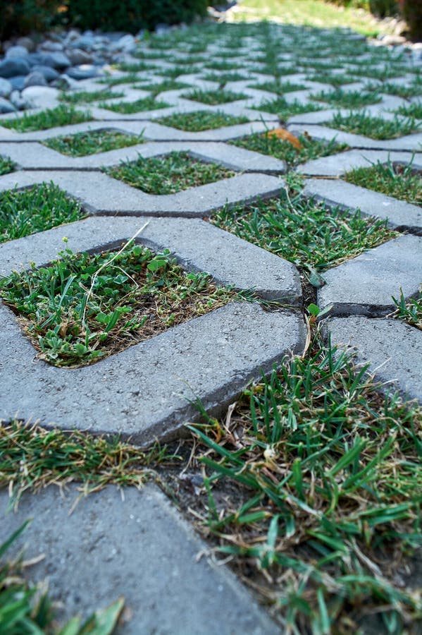 Paving Slab with Grass. Bricks Floor with Grass Stock Photo - Image of ...