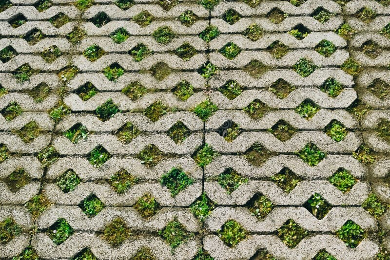 Grass Grows through Paving Slabs. Backgrounds and Textures Stock Image ...