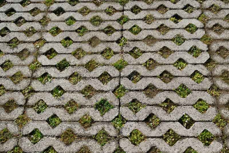 Grass Grows through Paving Slabs in the Park. Stock Photo - Image of ...