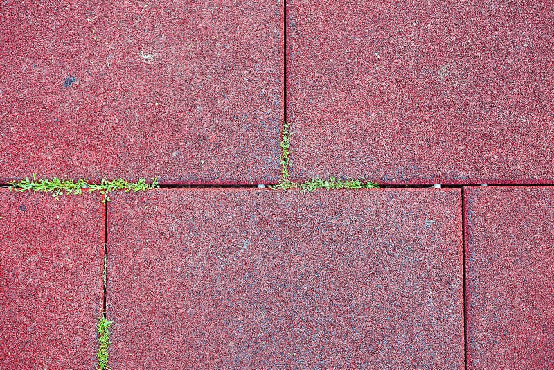 Paving slabs and grass. stock image. Image of sidewalk - 79231281