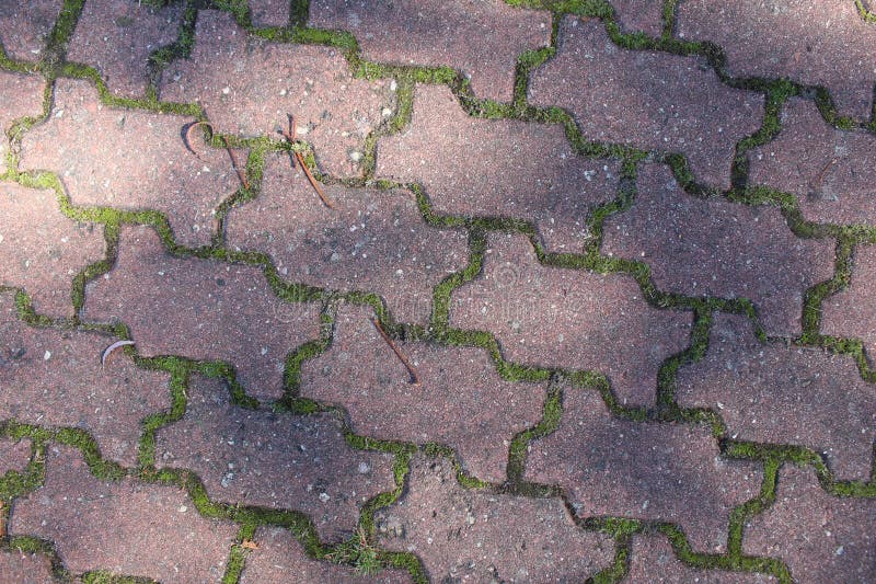 Paving Slabs with Grass between the Seams Close-up. Background Tiles Stock Image - Image of ...