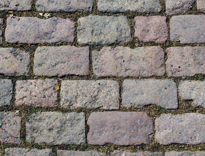 Paving slabs with grass. stock image. Image of grunge - 144490585