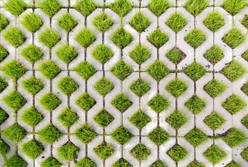 Paving-stone in a Lattice Shape and Green Grass Stock Photo - Image of ...